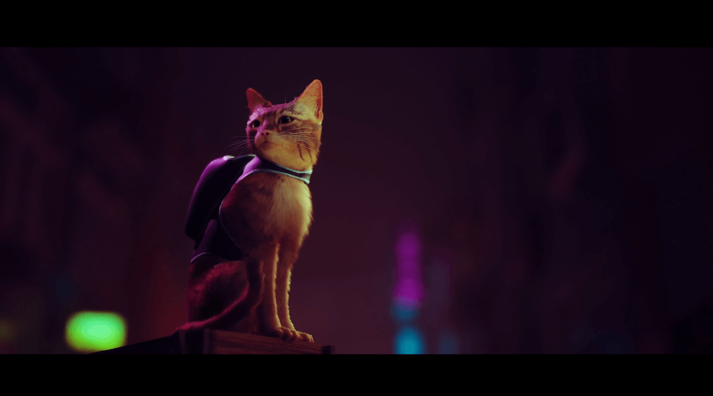 PS5: Stray recebe trailer e data de lançamento - Última Ficha